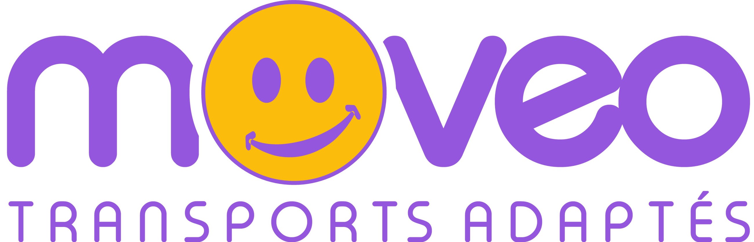 MOVEO - TRANSPORT DE PERSONNES A MOBILITE REDUITE ET VTC DANS LE HAUT ...